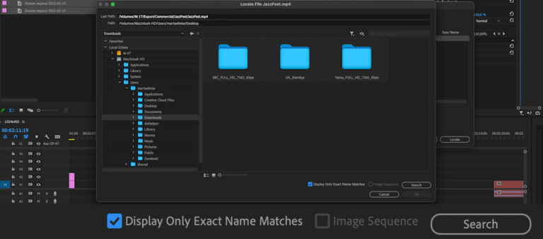 How to Link Media in Premiere Pro - Editino