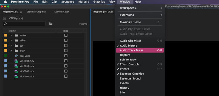 How to Record Audio in Adobe Premiere Pro: 2 Simple Methods